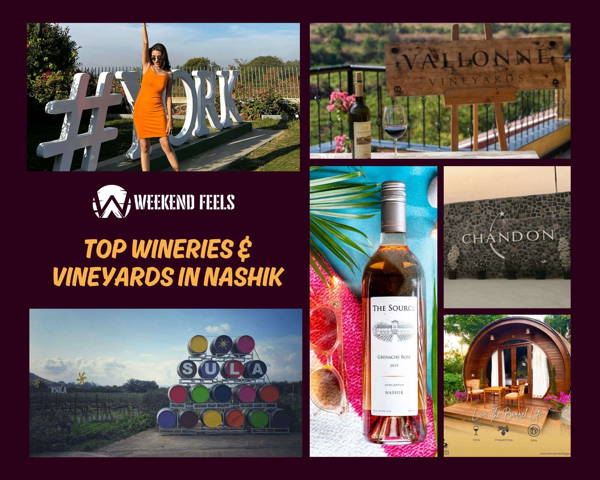 Top 5 Nashik Wineries and Vineyards
