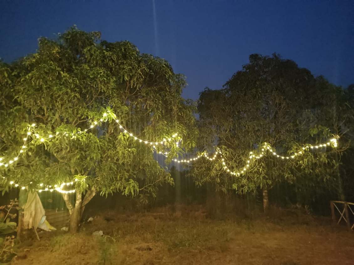 Dapoli Forest Camping @ ₹799 | Zero Cancellation Policy | Weekend Feels™