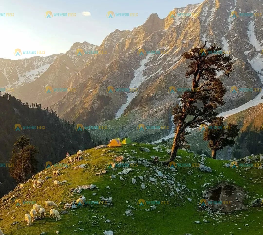 Triund Trek McLeodganj at ₹999 | Weekend Feels®